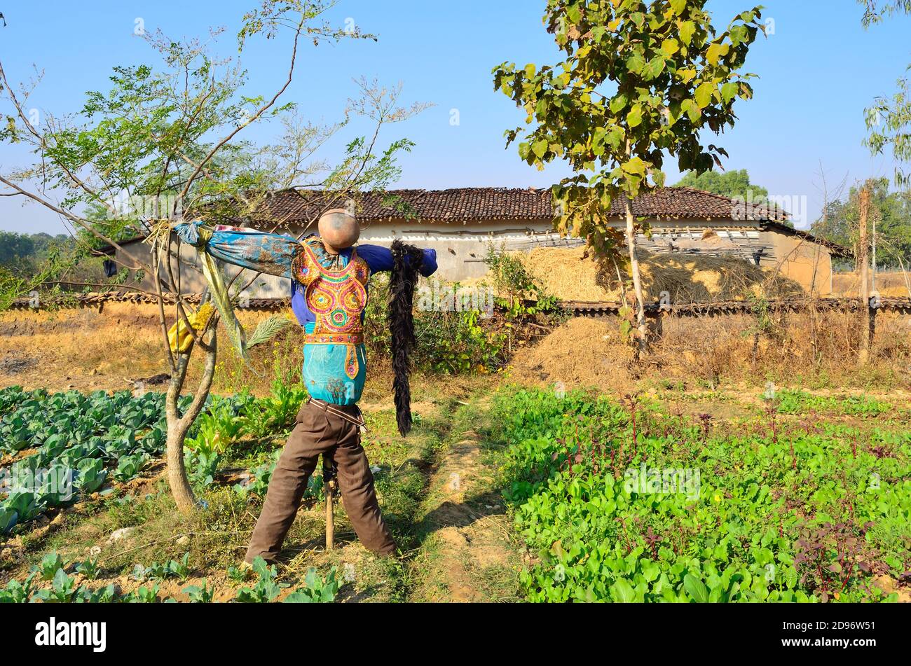 Indian Scarecrow High Resolution Stock Photography and Images - Alamy
