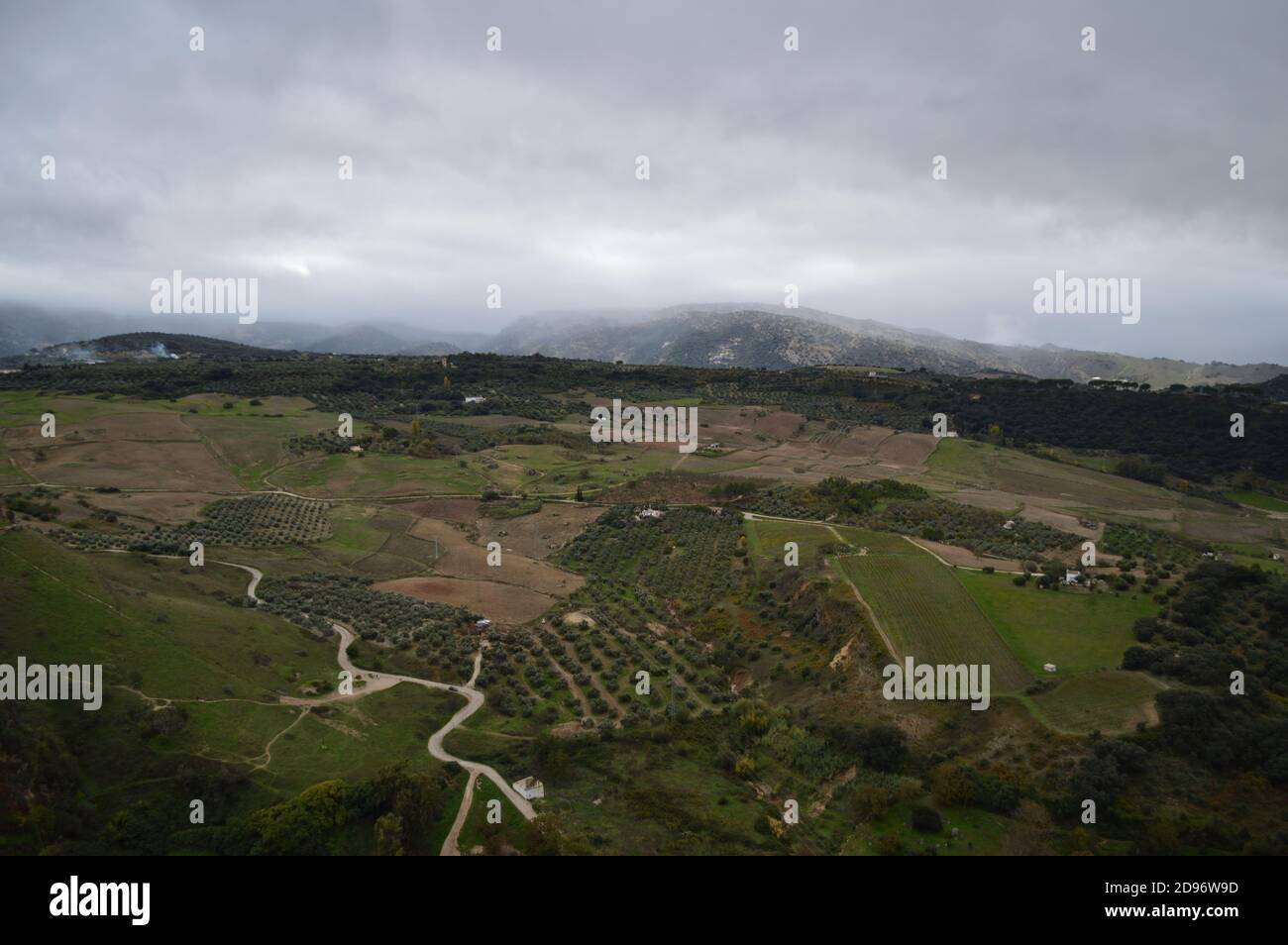 Panorama of Andalusian Landscape with Olive Trees and Fields seen from ...