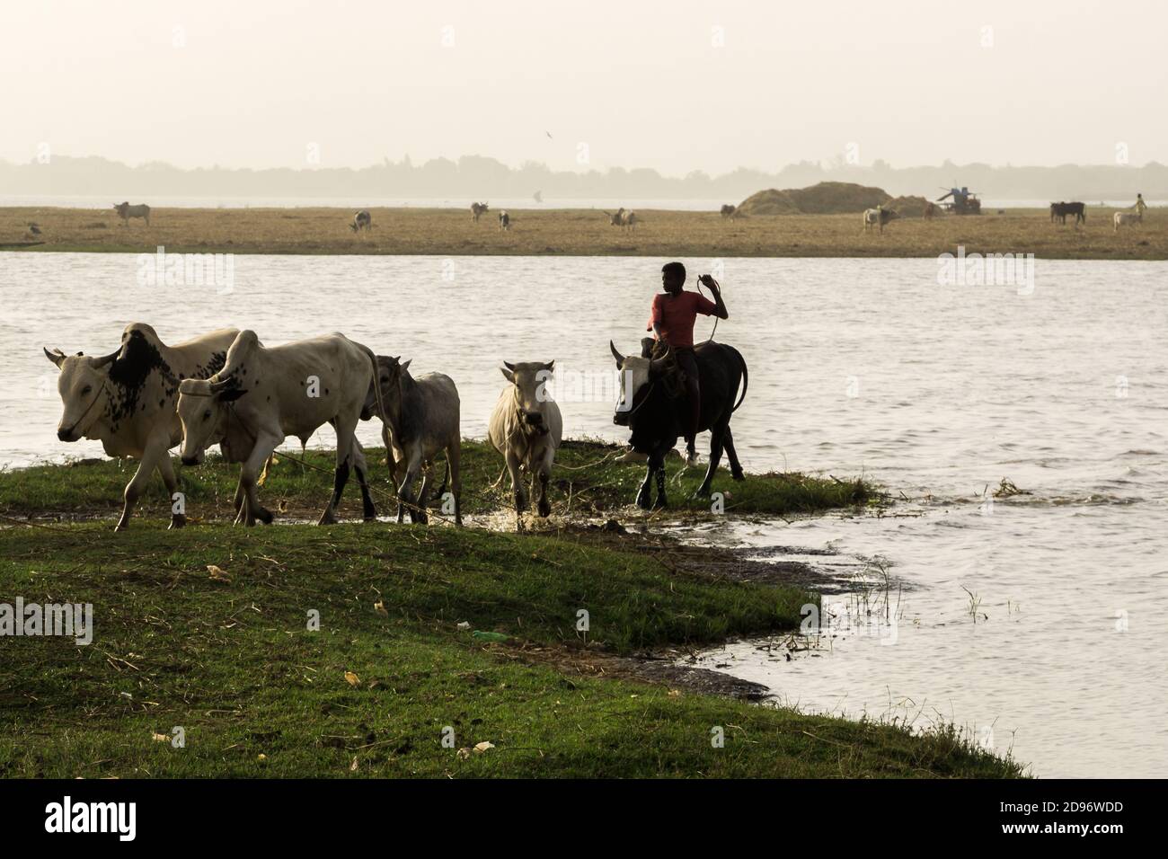 Niger river banks hi-res stock photography and images - Alamy
