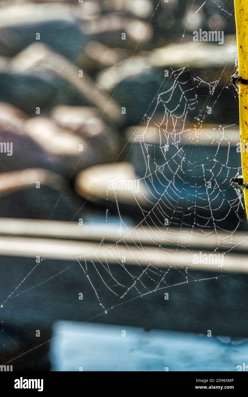 Cobweb empty hi-res stock photography and images - Alamy