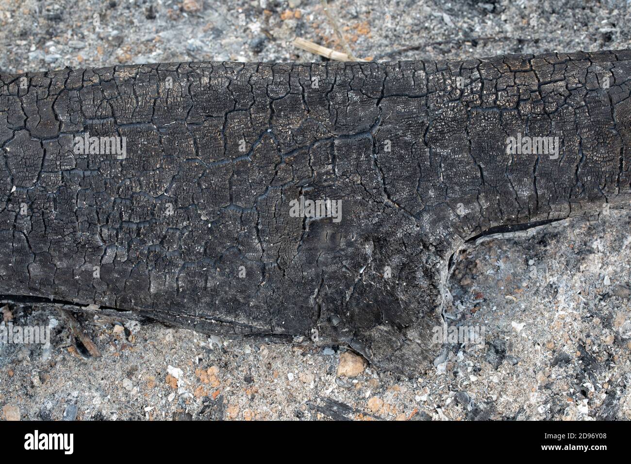 Charred remains of a log from a burnt out garden bonfire Stock Photo ...