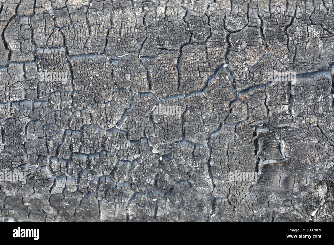 Burnt wood from extinguished, burnt out bonfire. Textures, patterns ...