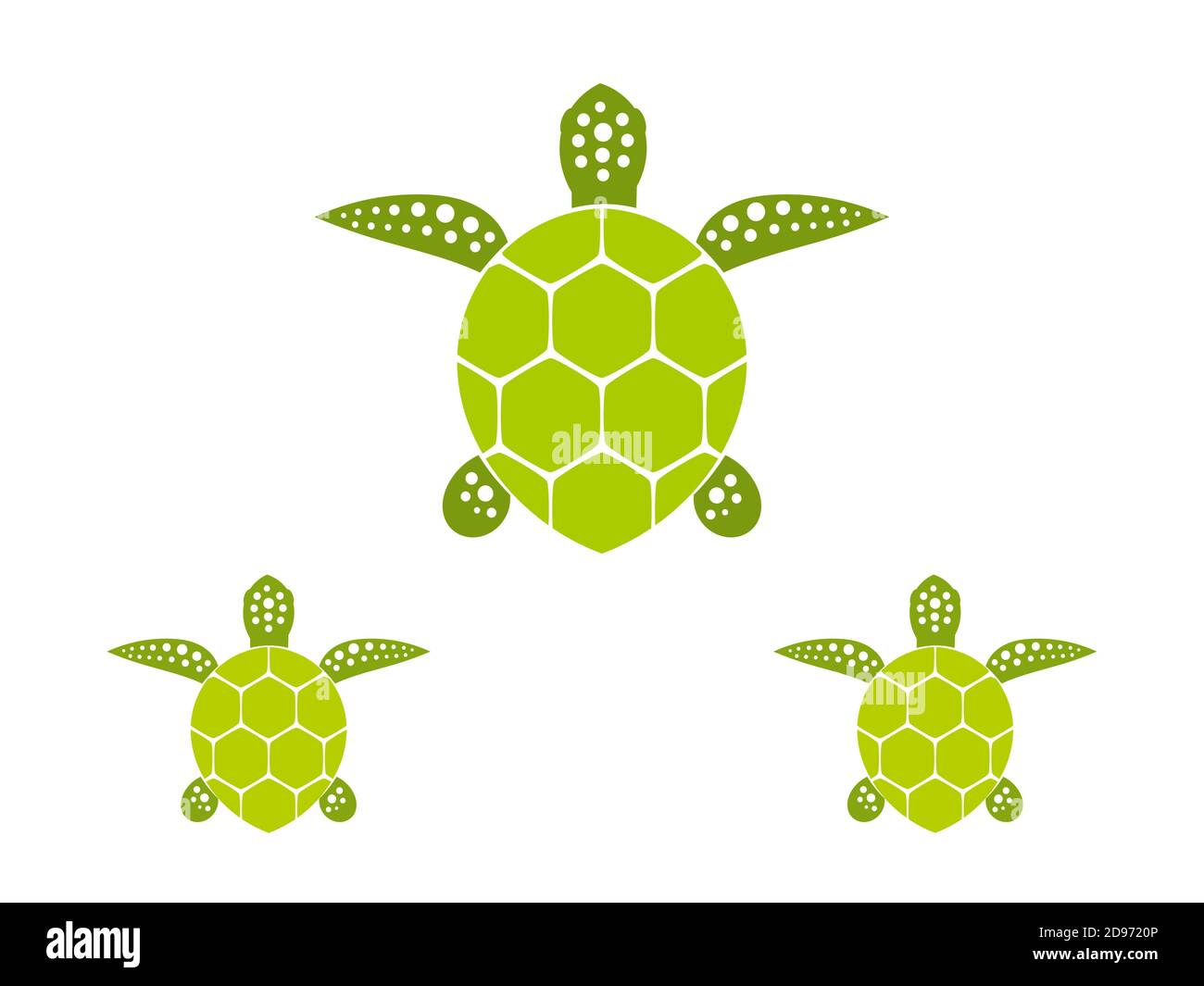 Green turtles family. Vector illustration Stock Vector Image & Art - Alamy