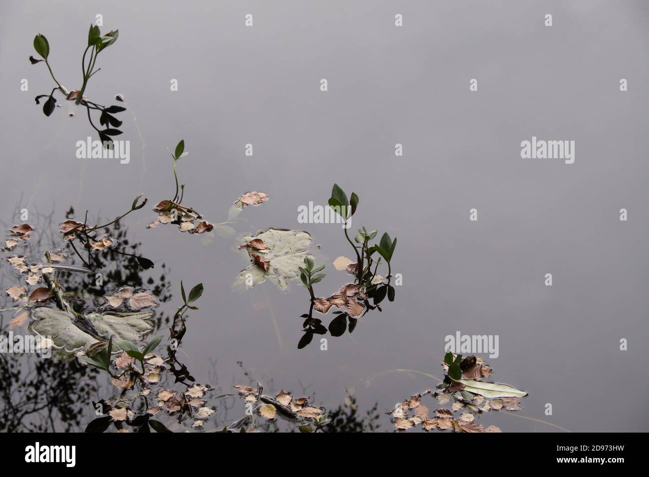 Calm water fall hi-res stock photography and images - Alamy