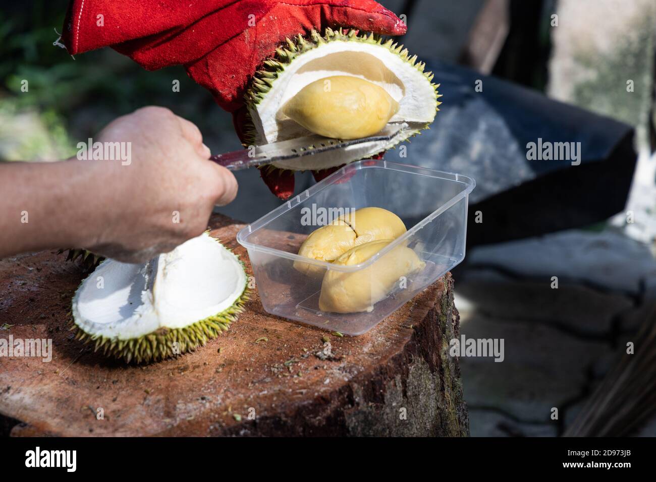 Series of person cutting open organic durian with knife Stock Photo - Alamy