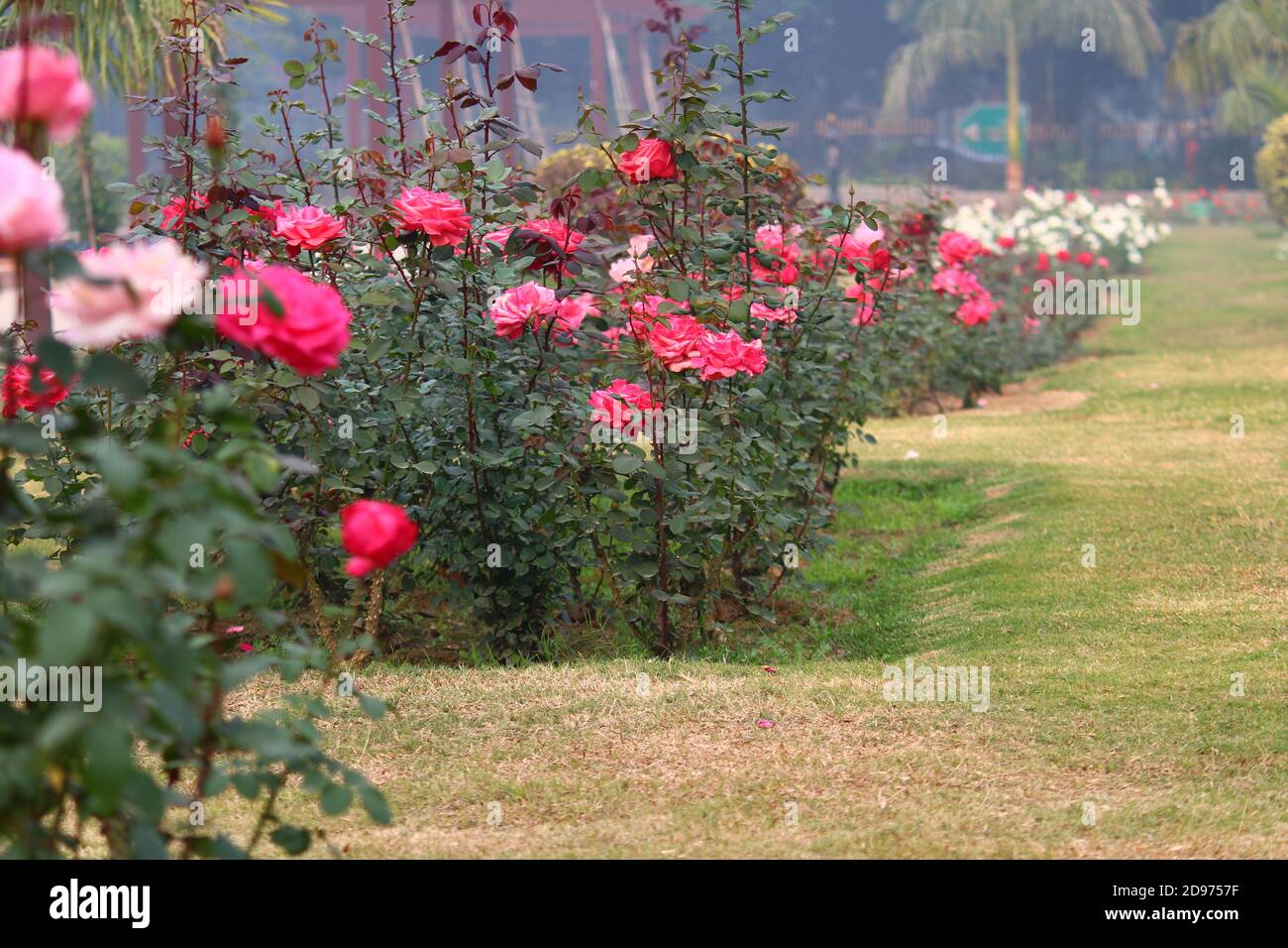 Chanakya puri hi-res stock photography and images - Alamy