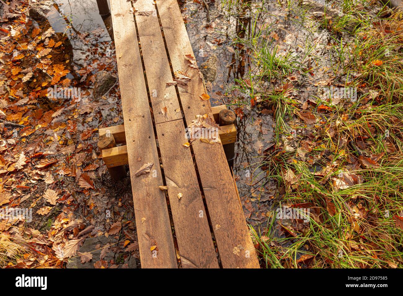 A nature boardwalk in a vibrant fall forest Stock Photo - Alamy