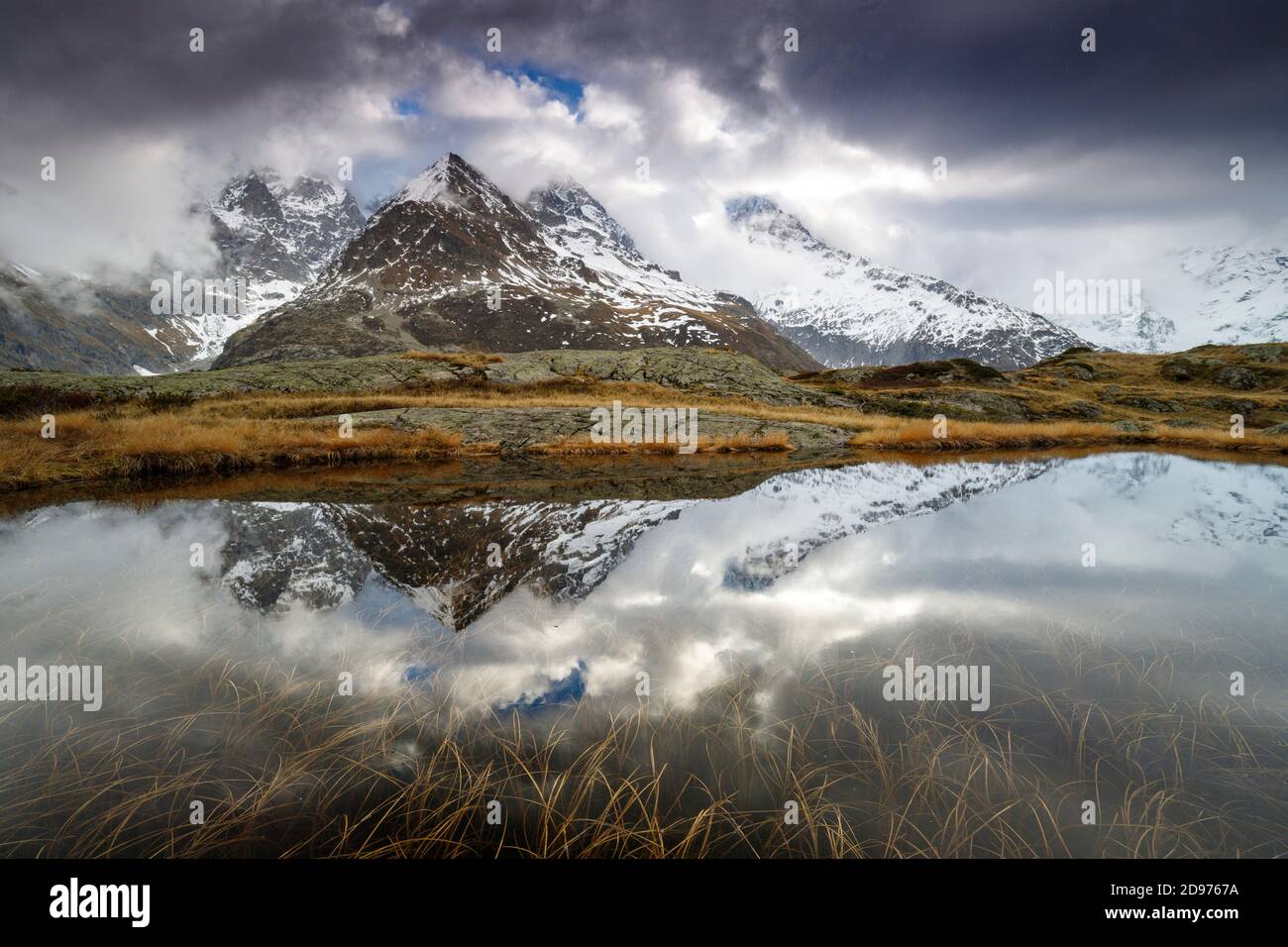 Freshwater bog ecosystem hi-res stock photography and images - Alamy