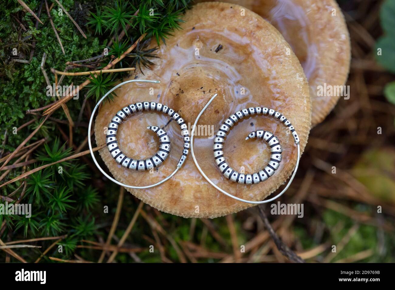 Spiral worm hi-res stock photography and images - Alamy
