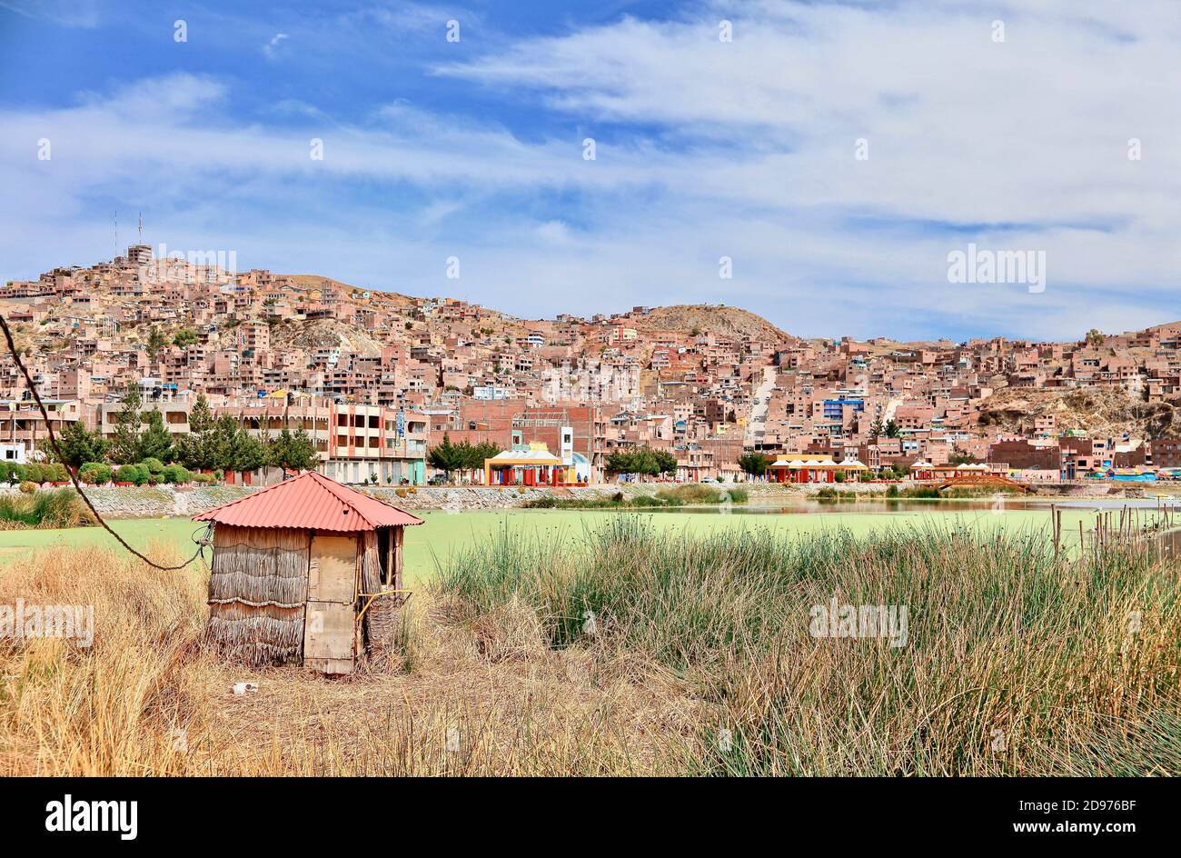 Boats on Lake Titicaca and green algae due to pollution, Puno, Peru ...