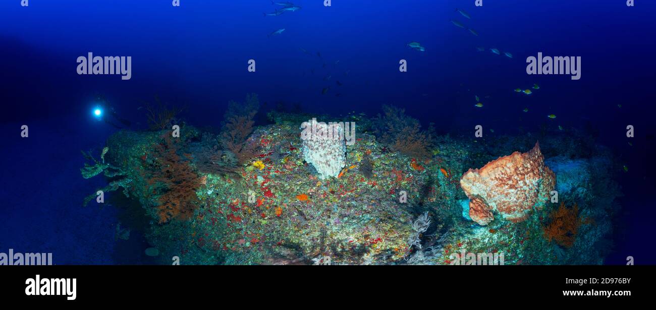 Panorama of a deep reef. Panoramic 180° view of the northern massif of ...