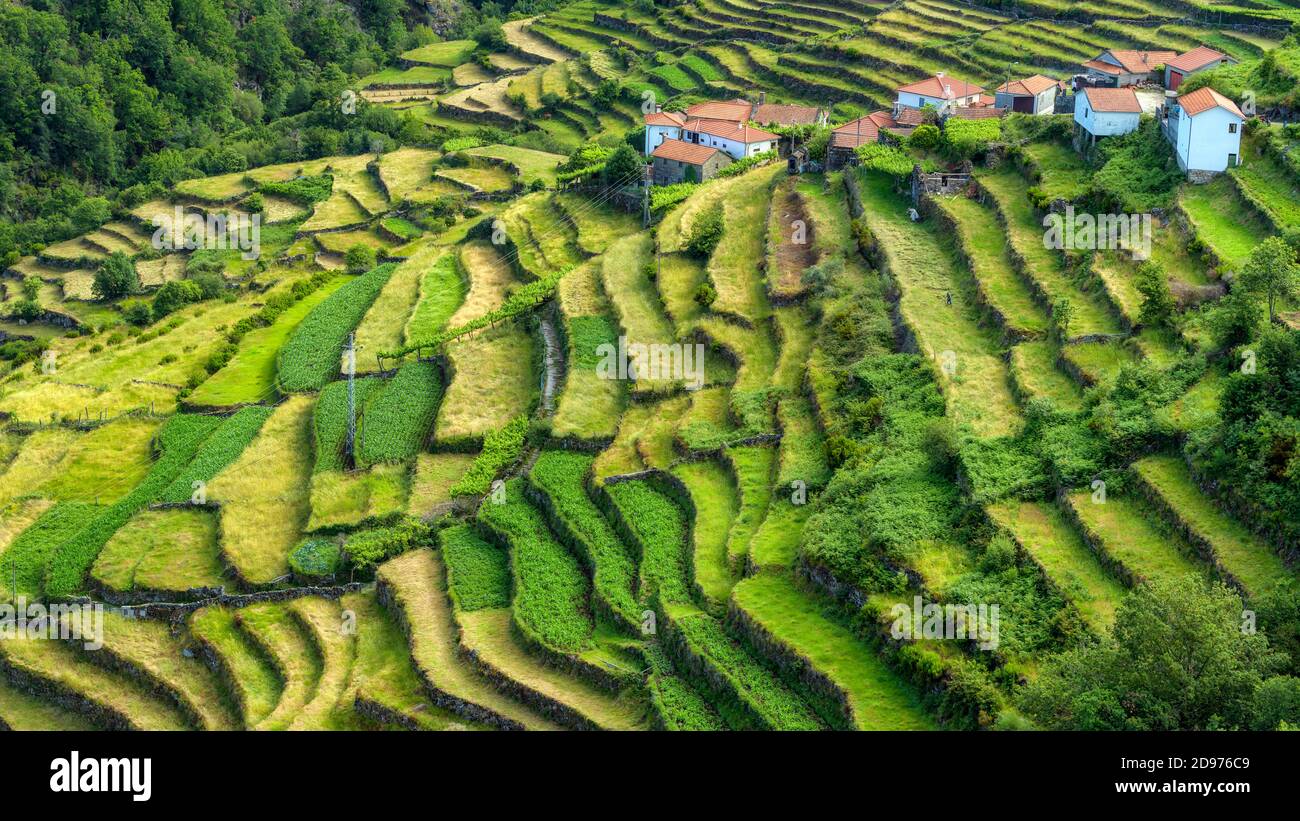 Terraced terraces hillsides hills hi-res stock photography and images ...