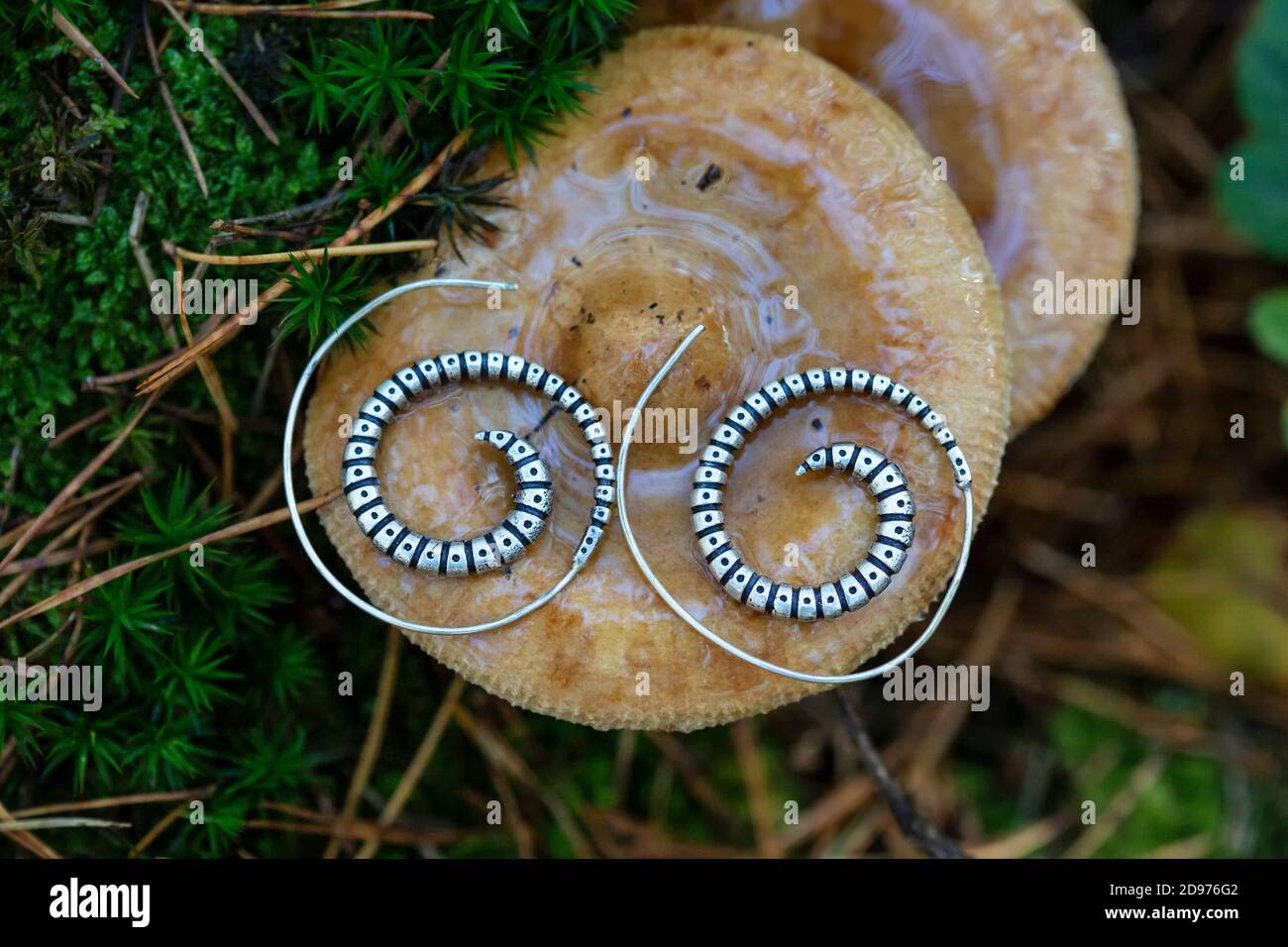 silver metal spiral worm shape earrings on forest mushroom Stock Photo ...