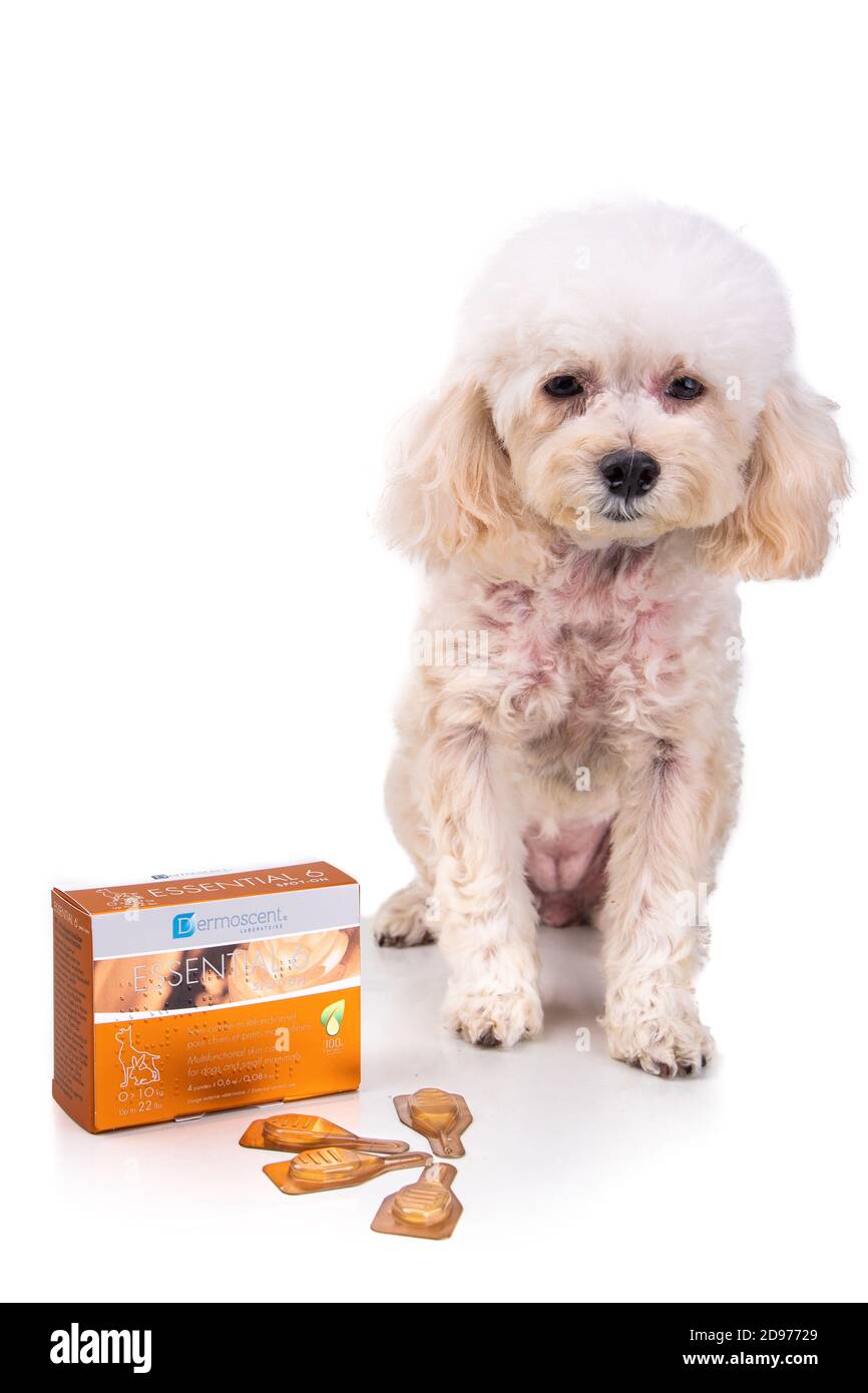 KUALA LUMPUR, MALAYSIA, April 14, 2019: Essential 6 spot-on dermo ...