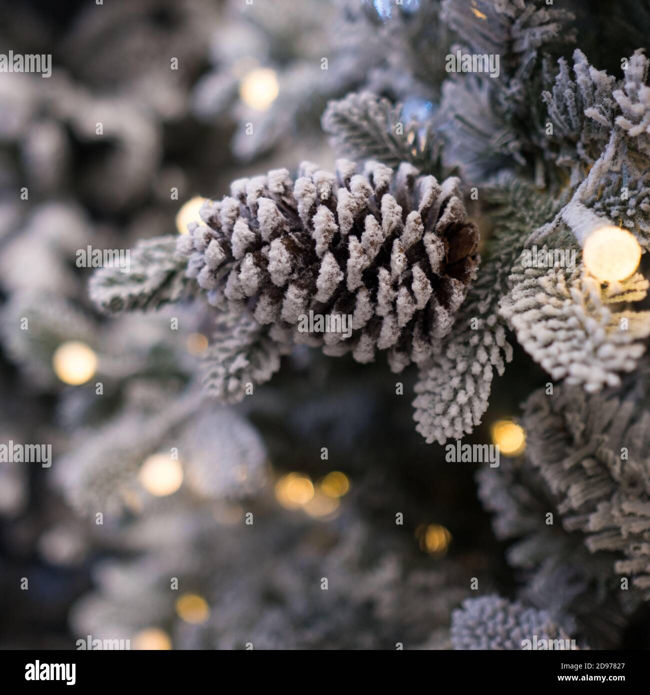 Eve cone hi-res stock photography and images - Alamy