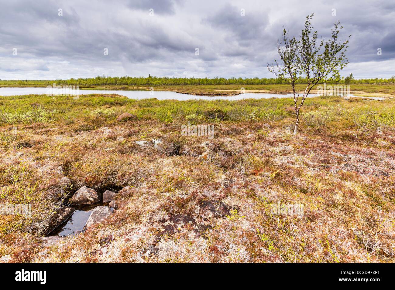 Lake landscape, Finland Stock Photo - Alamy