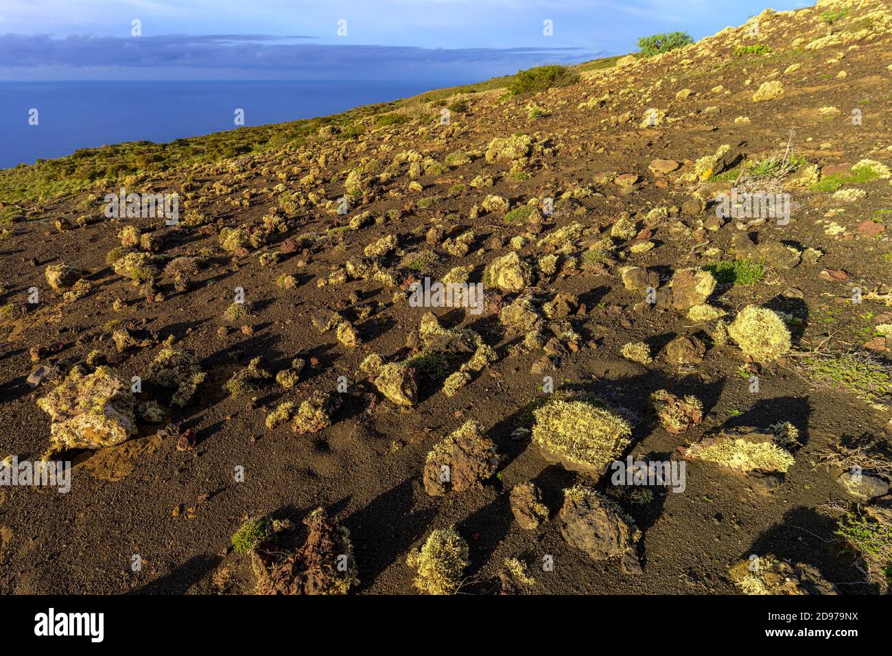 Formation of lichen hi-res stock photography and images - Alamy