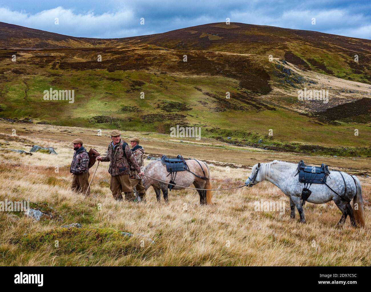 Scottish game hunting hi-res stock photography and images - Alamy
