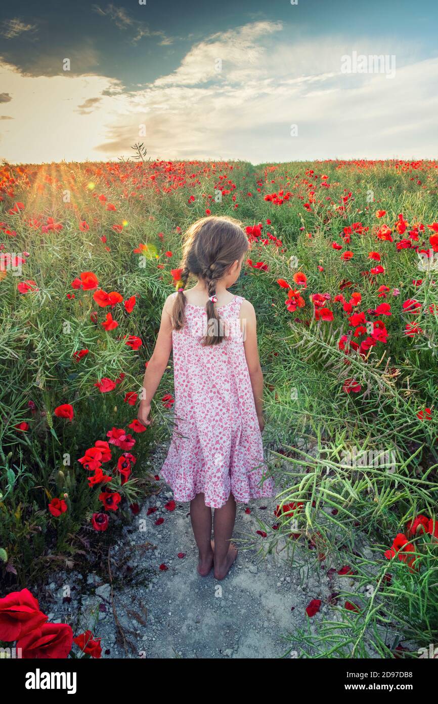 Girl laying in poppy field hi-res stock photography and images - Alamy