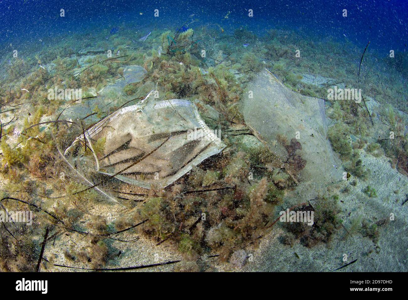 Environmental problem caused by the misuse of masks and other plastic ...