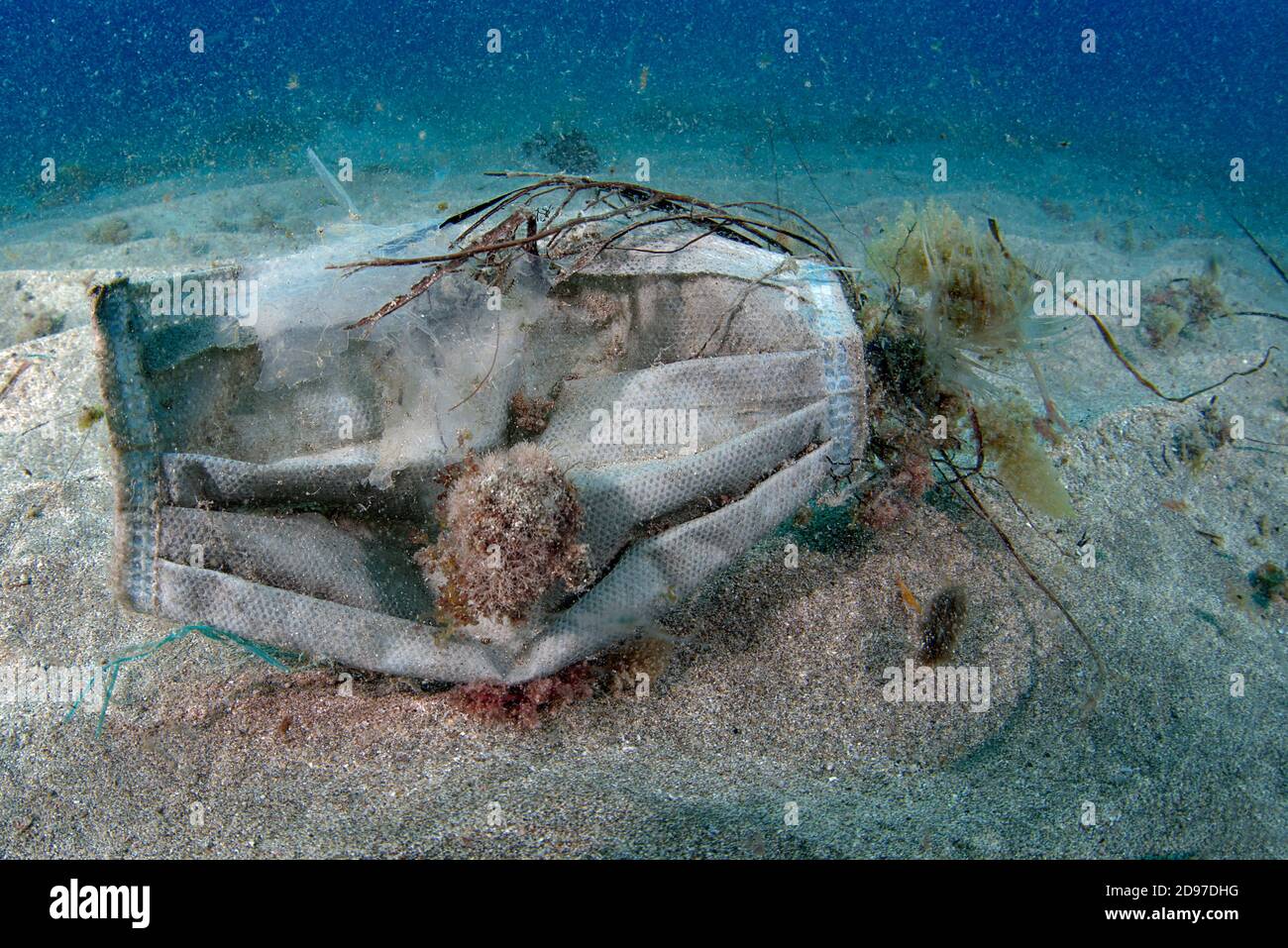 Environmental problem caused by the misuse of masks and other plastic ...