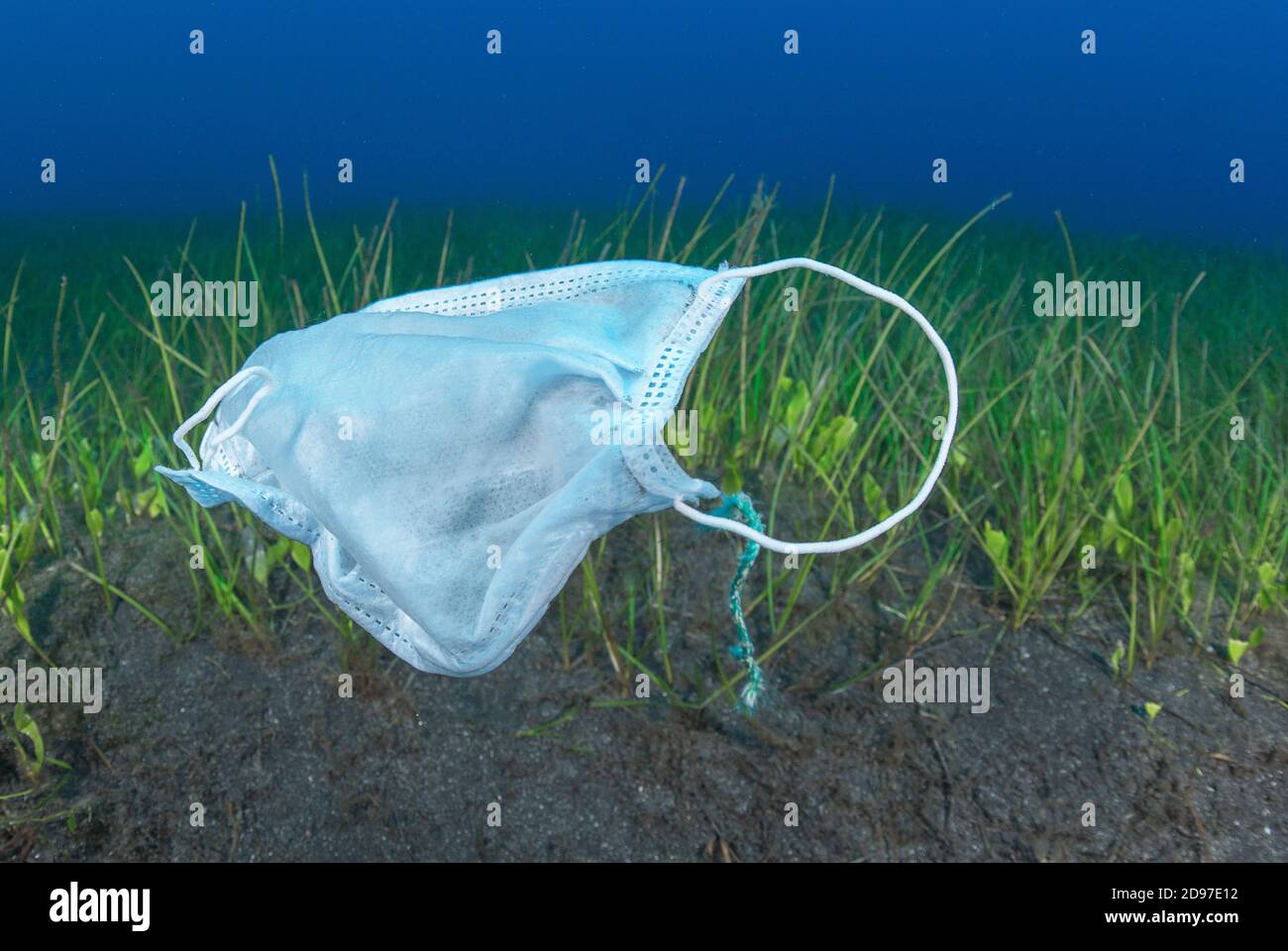 Environmental problem caused by the misuse of masks and other plastic ...