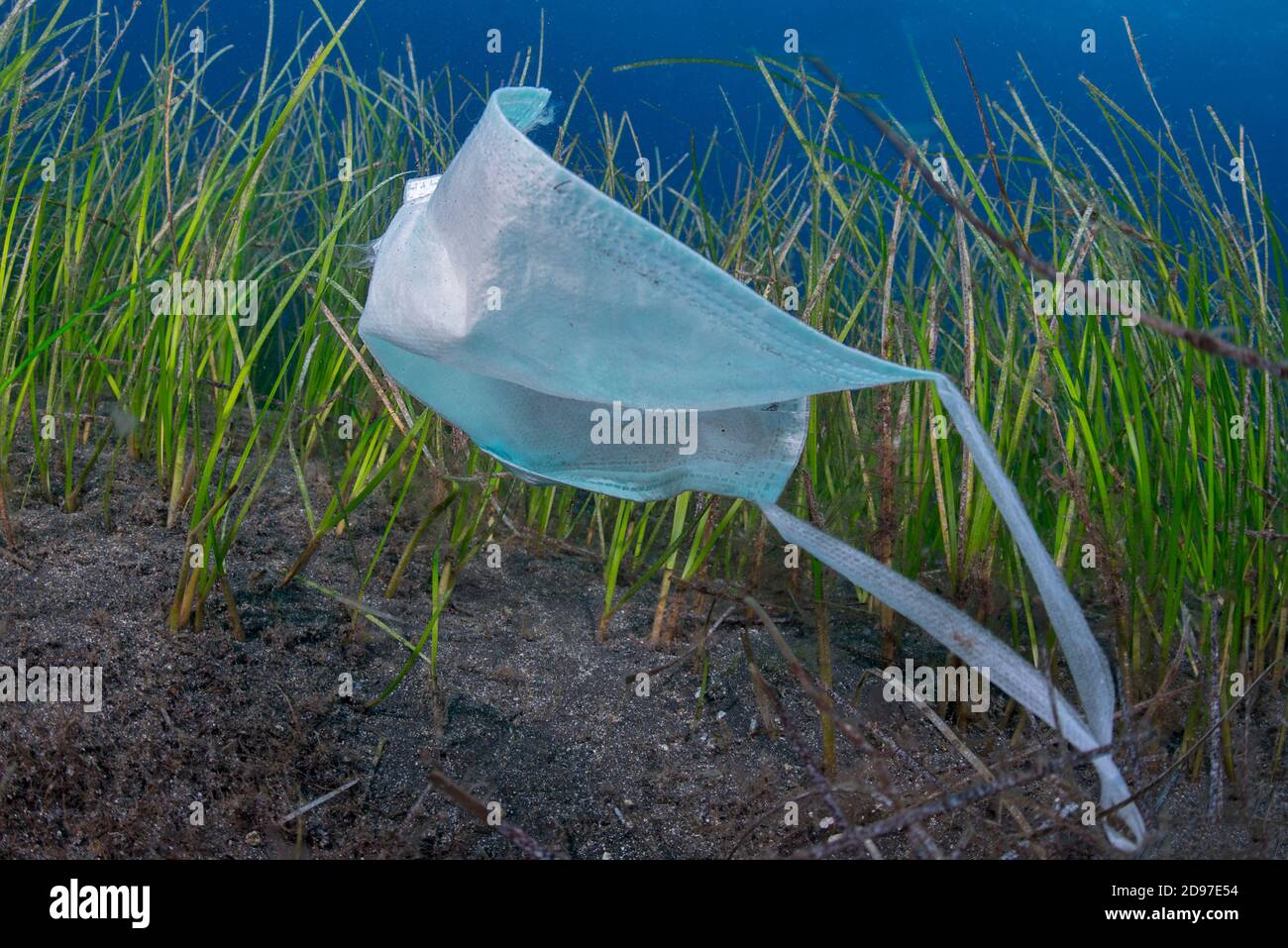 Environmental problem caused by the misuse of masks and other plastic ...