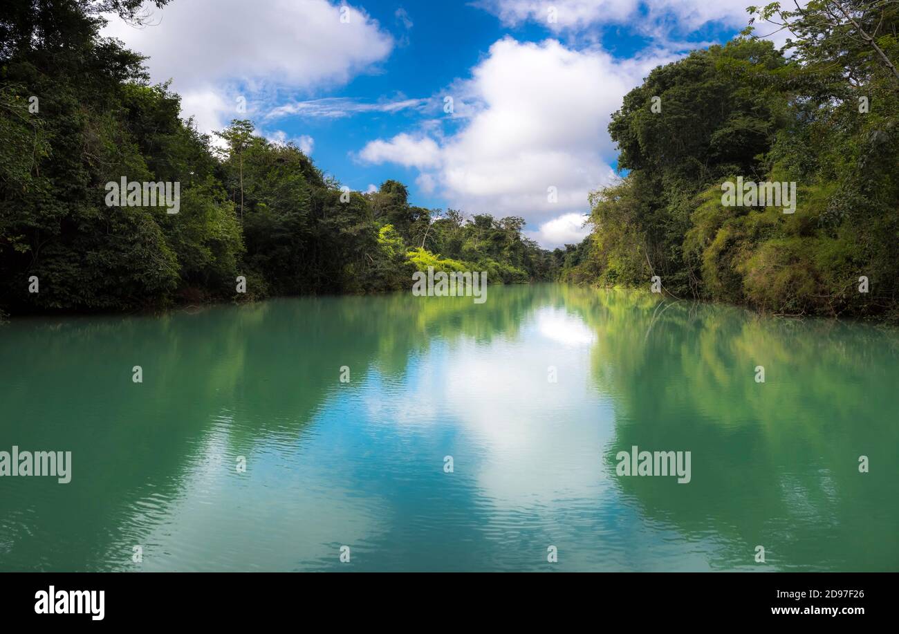 Landscape of the Lacantun River, Montes Azules Biosphere Reserve ...