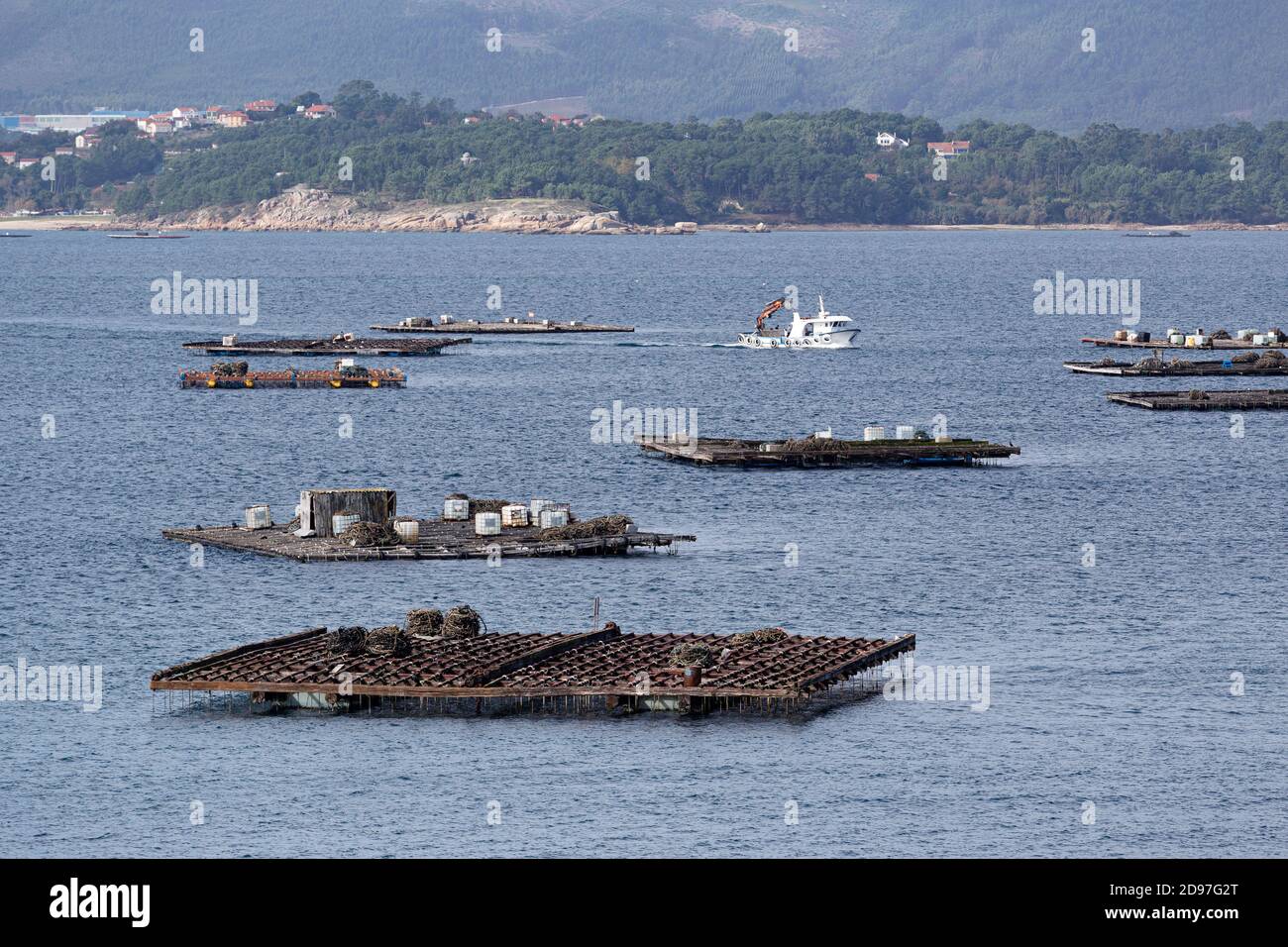 Shore mussel farm hi-res stock photography and images - Alamy