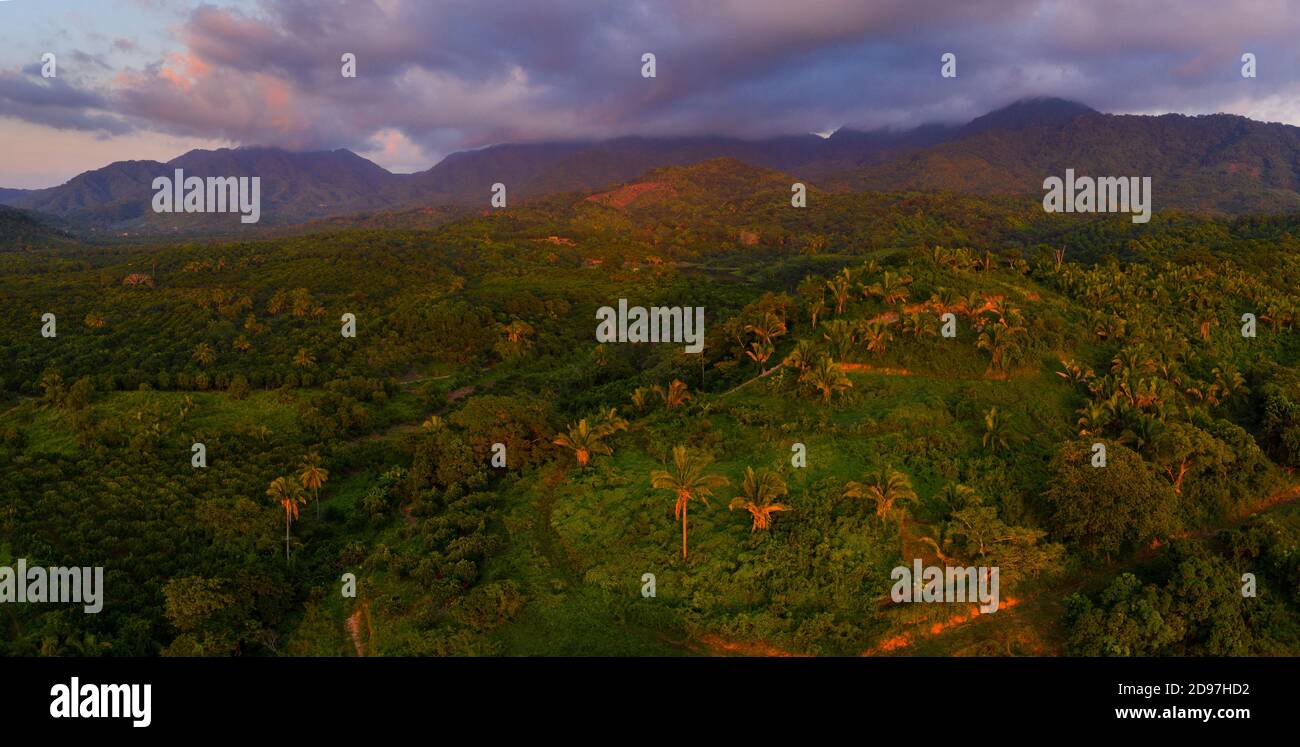 Fruits plantations and tropical forest, Aticama, San Juan Mountain ...