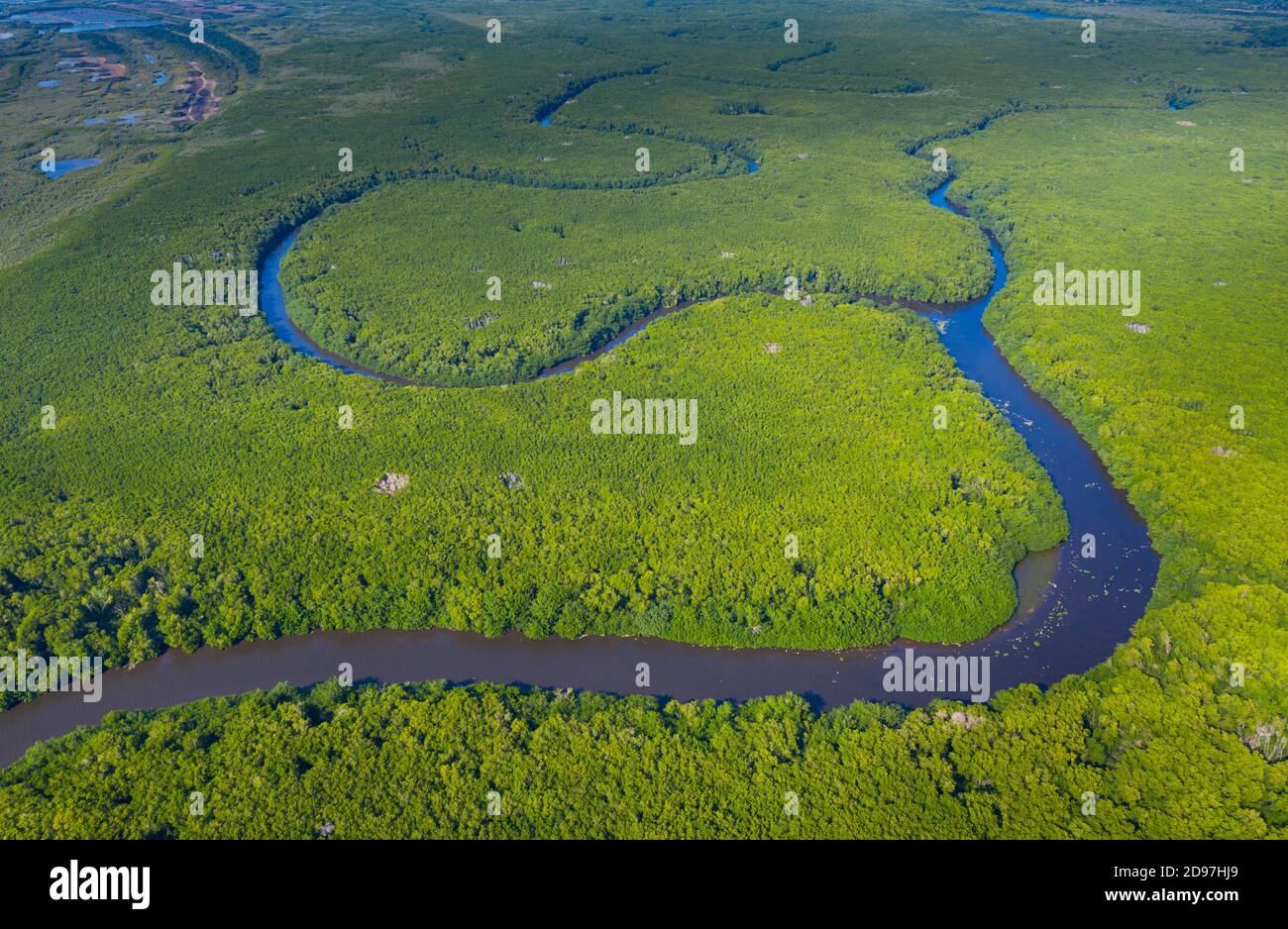Mangrove, La Tovara National Park, Ramsar Site, Wetlands of ...