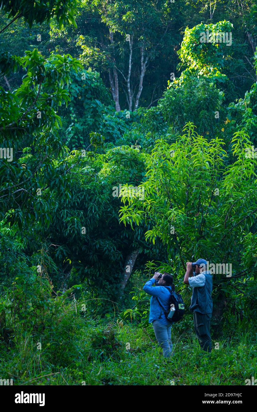 Birdwatching, San Juan Mountain Range, San Blas municipality, Matanchen ...