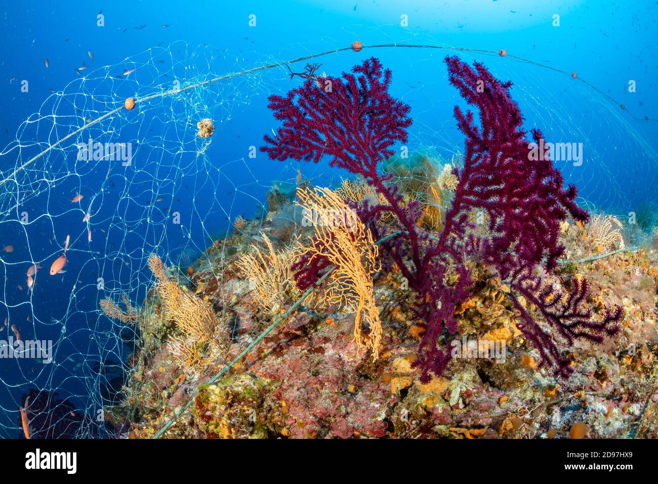 Submarine nets hi-res stock photography and images - Alamy