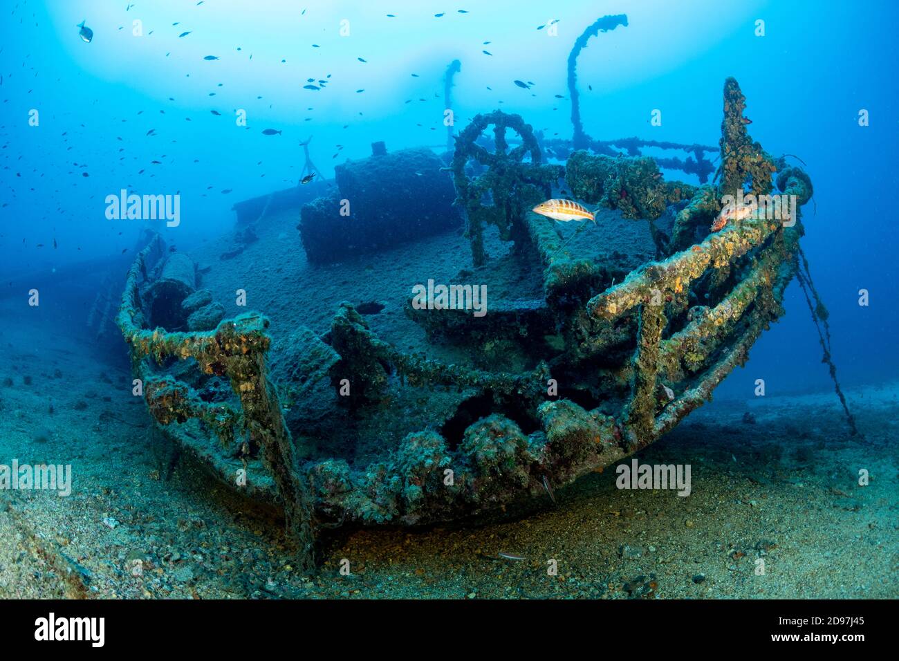 Cargo ship wreck hi-res stock photography and images - Alamy
