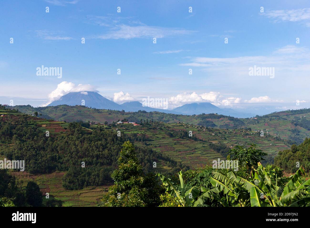 Mikeno karisimbi hi-res stock photography and images - Alamy