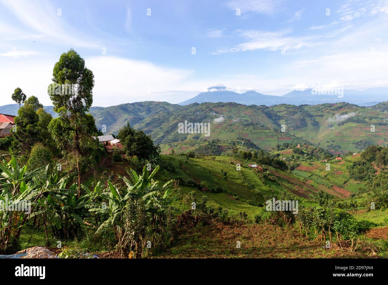 Part of the Virunga mountains seen from Uganda with from left to right ...