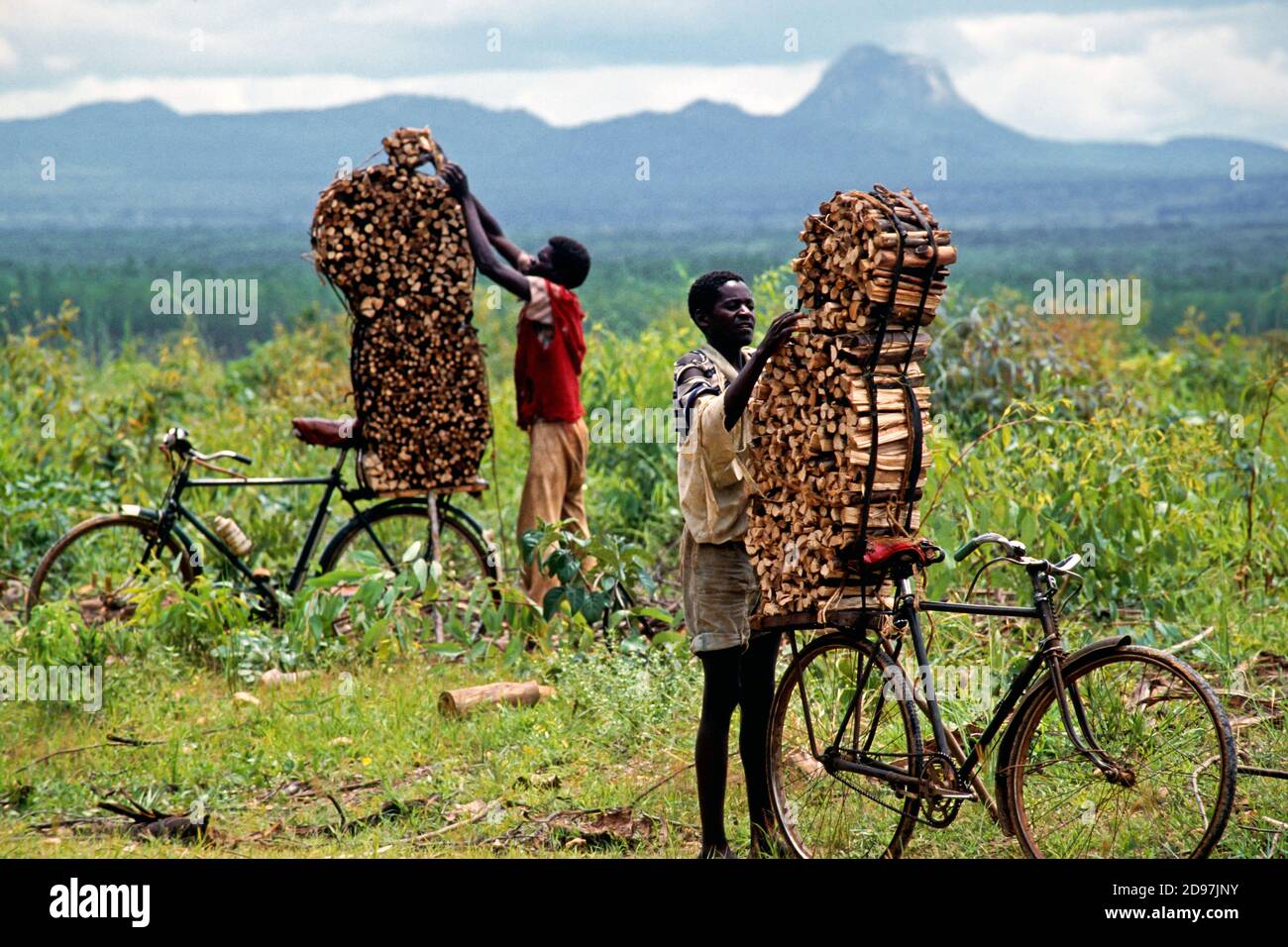 Coal transport africa hi-res stock photography and images - Alamy
