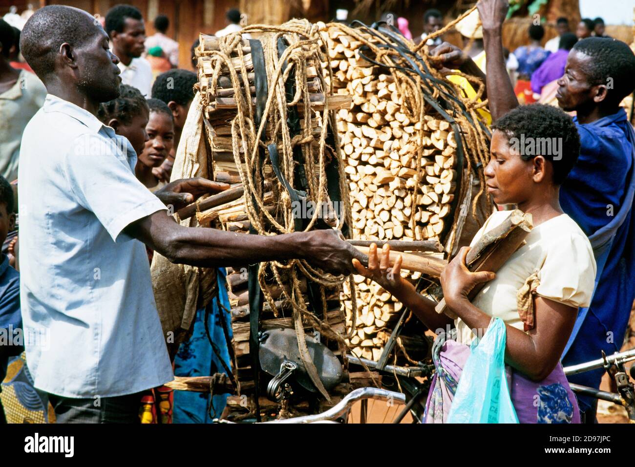 Malawi: Log merchants cut firewood and take them on their bicycles to ...