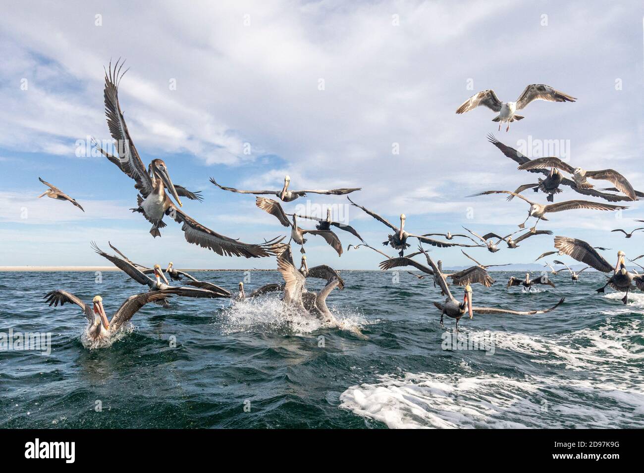 Flying over pacific ocean hi-res stock photography and images - Alamy