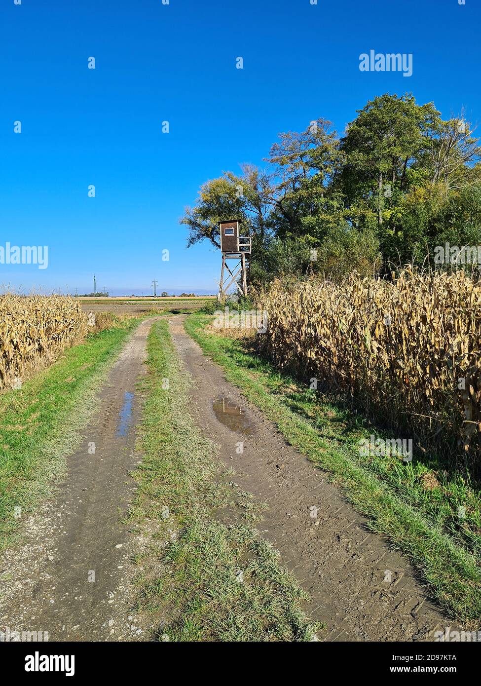 Track across the fields hi-res stock photography and images - Alamy