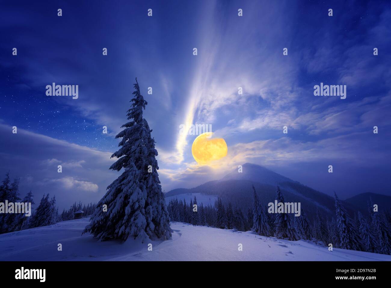 Night winter landscape with a full moon and snowy spruce in the ...