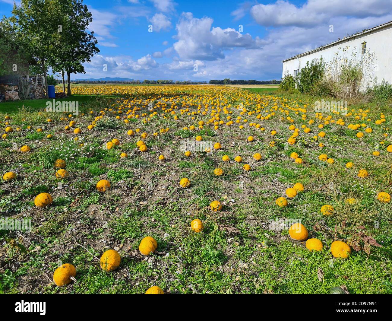 Austria field hi-res stock photography and images - Alamy