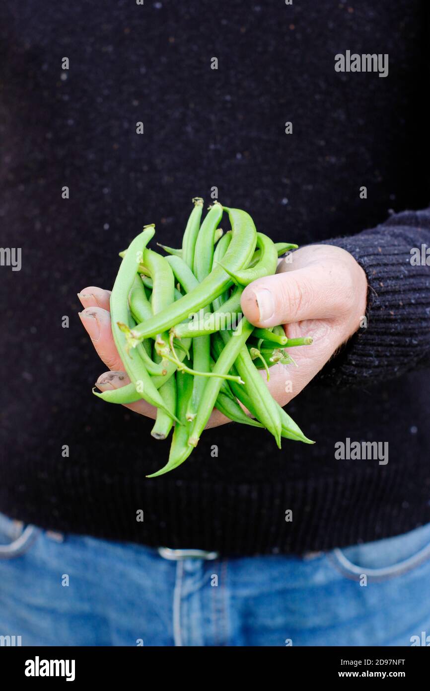 French beans mamba hi-res stock photography and images - Alamy