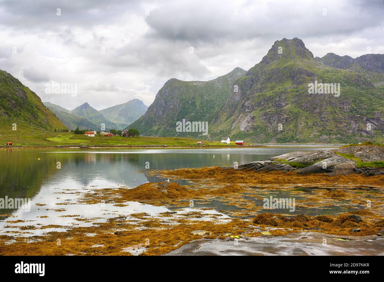 nature at the Moskenstraumen located on the Norwegian Lofoten islands ...