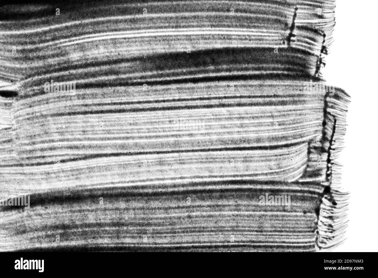 Gray translucent brush strokes with isolated edge, may be used as ...