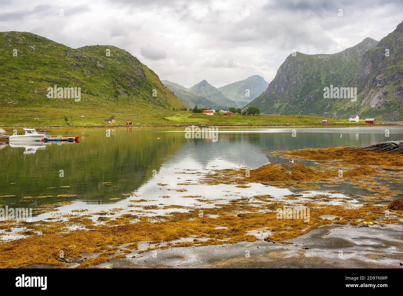 Fjord Moskenstraumen located on the Norwegian Lofoten islands Stock ...