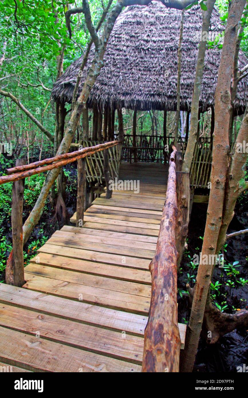 Jozani chwaka bay np hi-res stock photography and images - Alamy