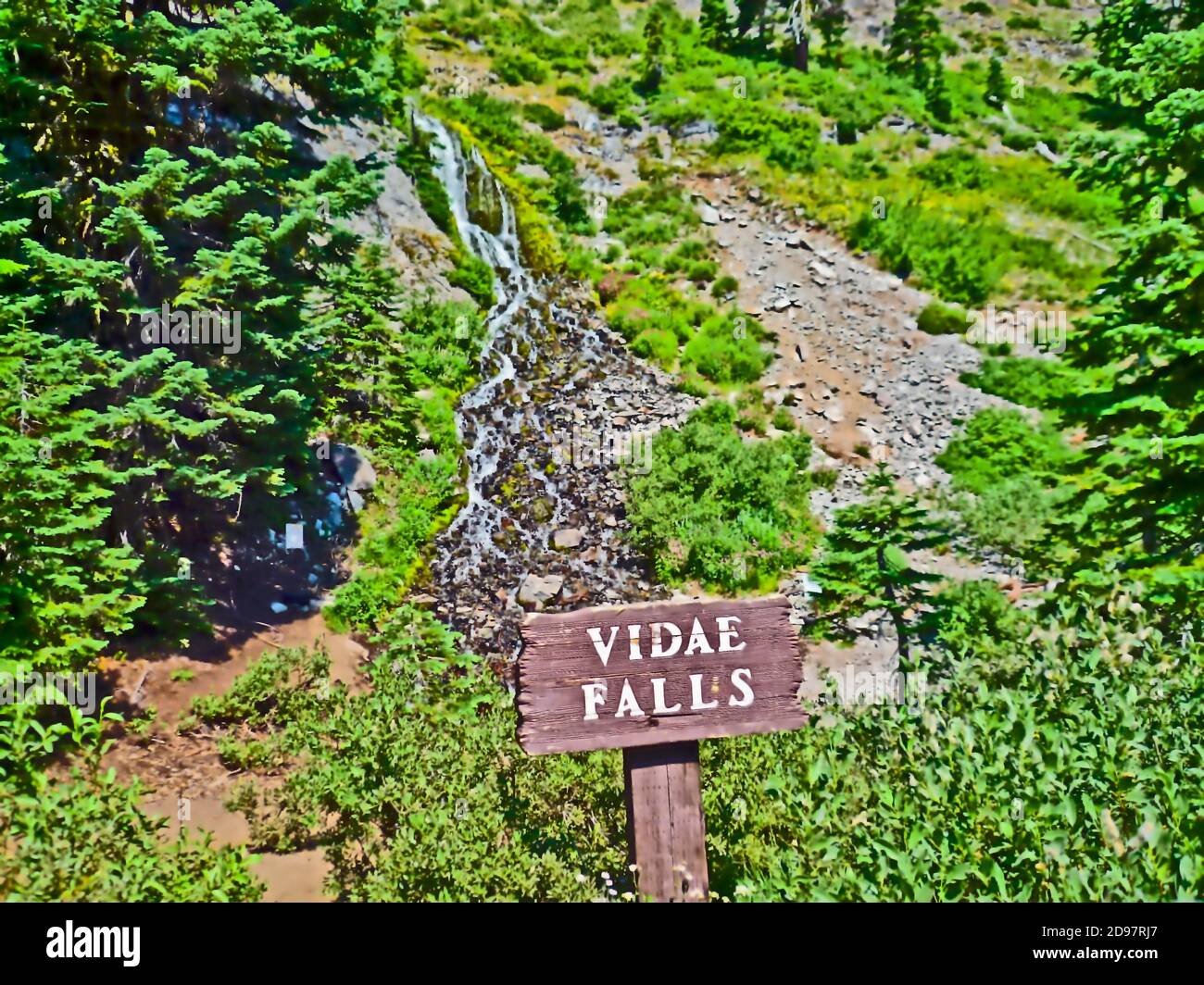 Vidae hi-res stock photography and images - Alamy
