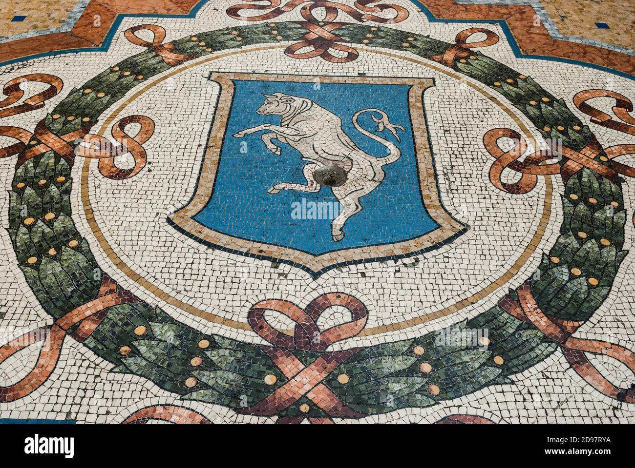 Human testicle hi-res stock photography and images - Alamy