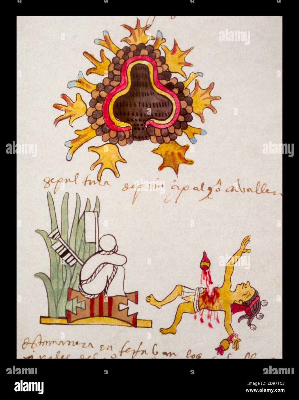 16th Century Pictorial Aztec Codex High Resolution Stock Photography and Images - Alamy
